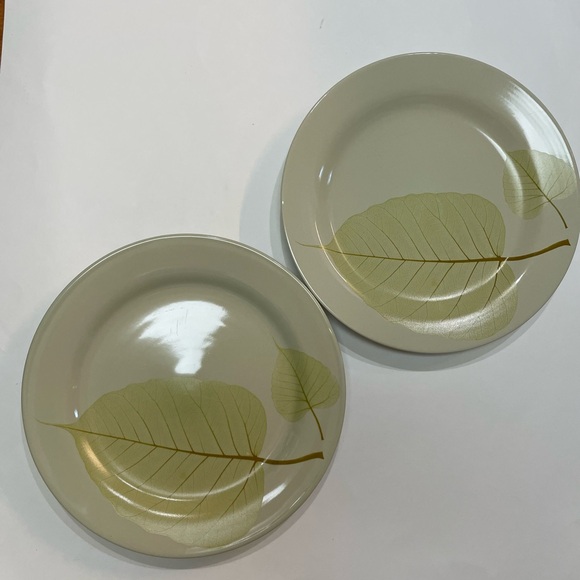 Pier 1 | Dining | Pier Aspen Stoneware Dinner Plates Set Of 4 | Poshmark